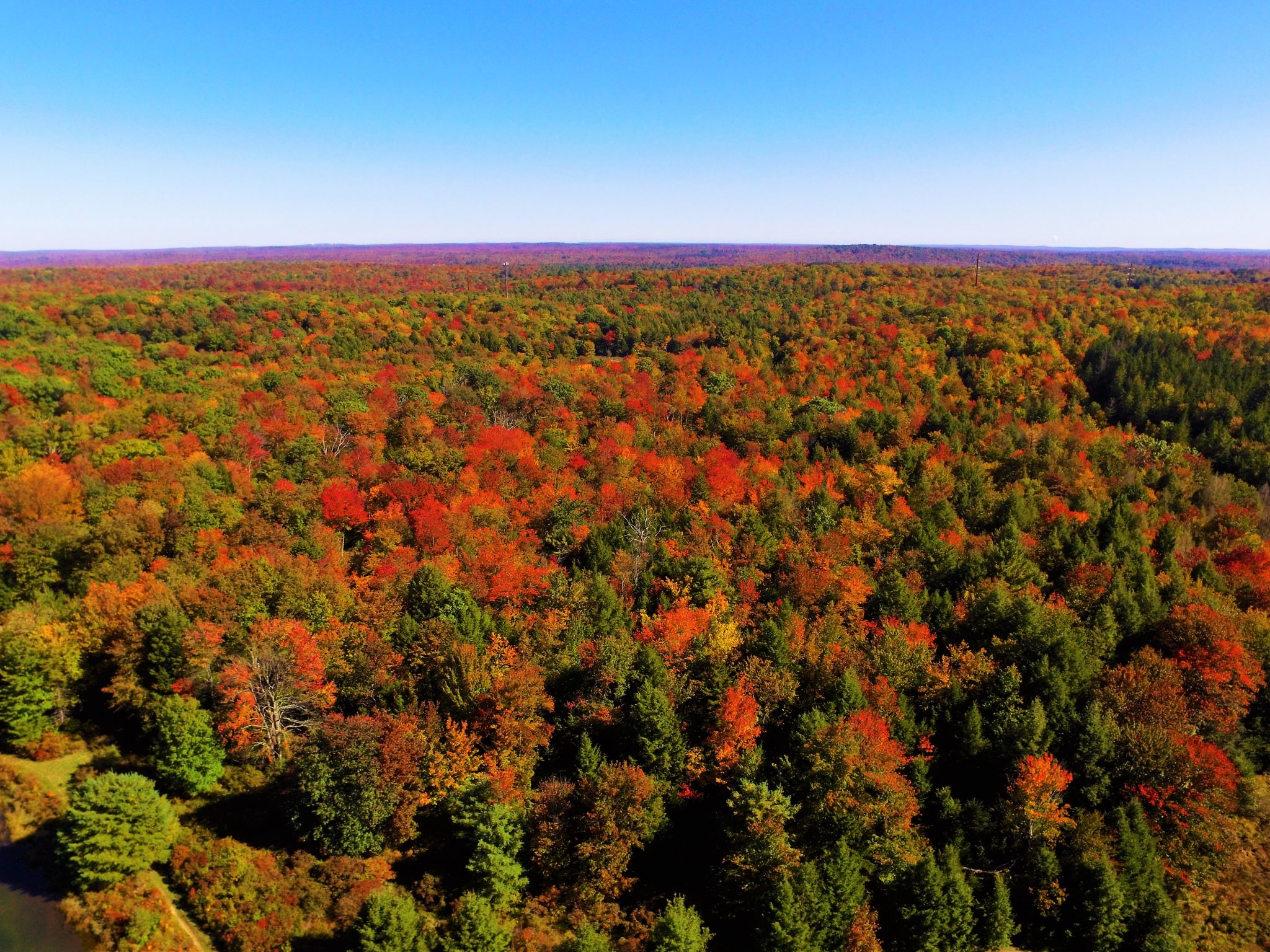 Large Acreage Properties (10+ Acres) in the Poconos